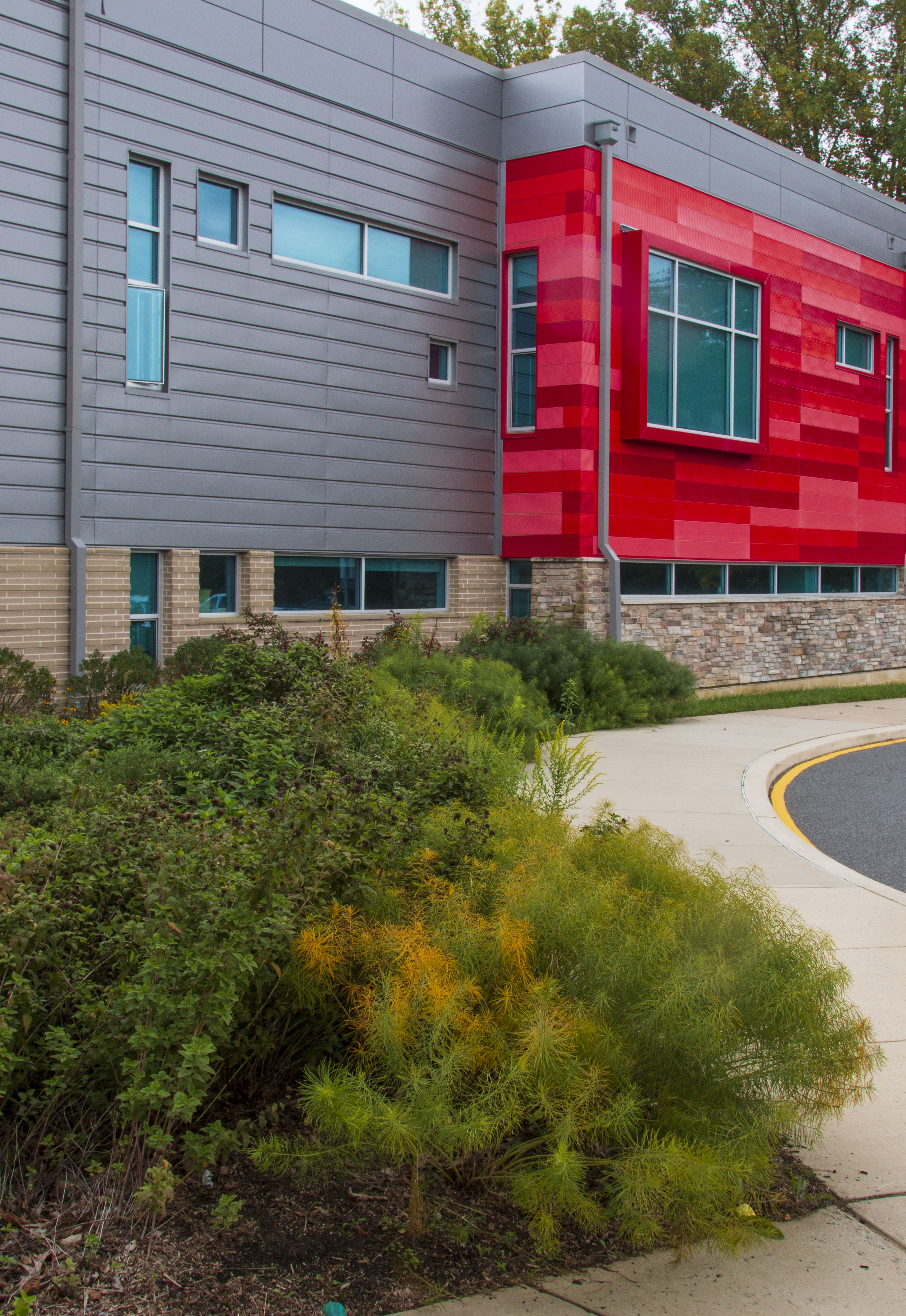 William F. Cooke Jr. Elementary | Landscaping | Green Weaver